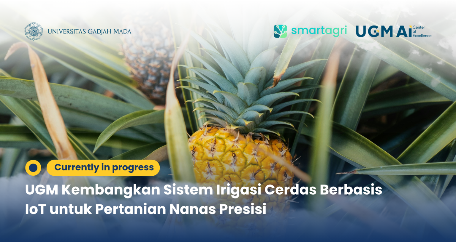 UGM Kembangkan Sistem Irigasi Cerdas Berbasis IoT untuk Pertanian Nanas Presisi – Universitas ...